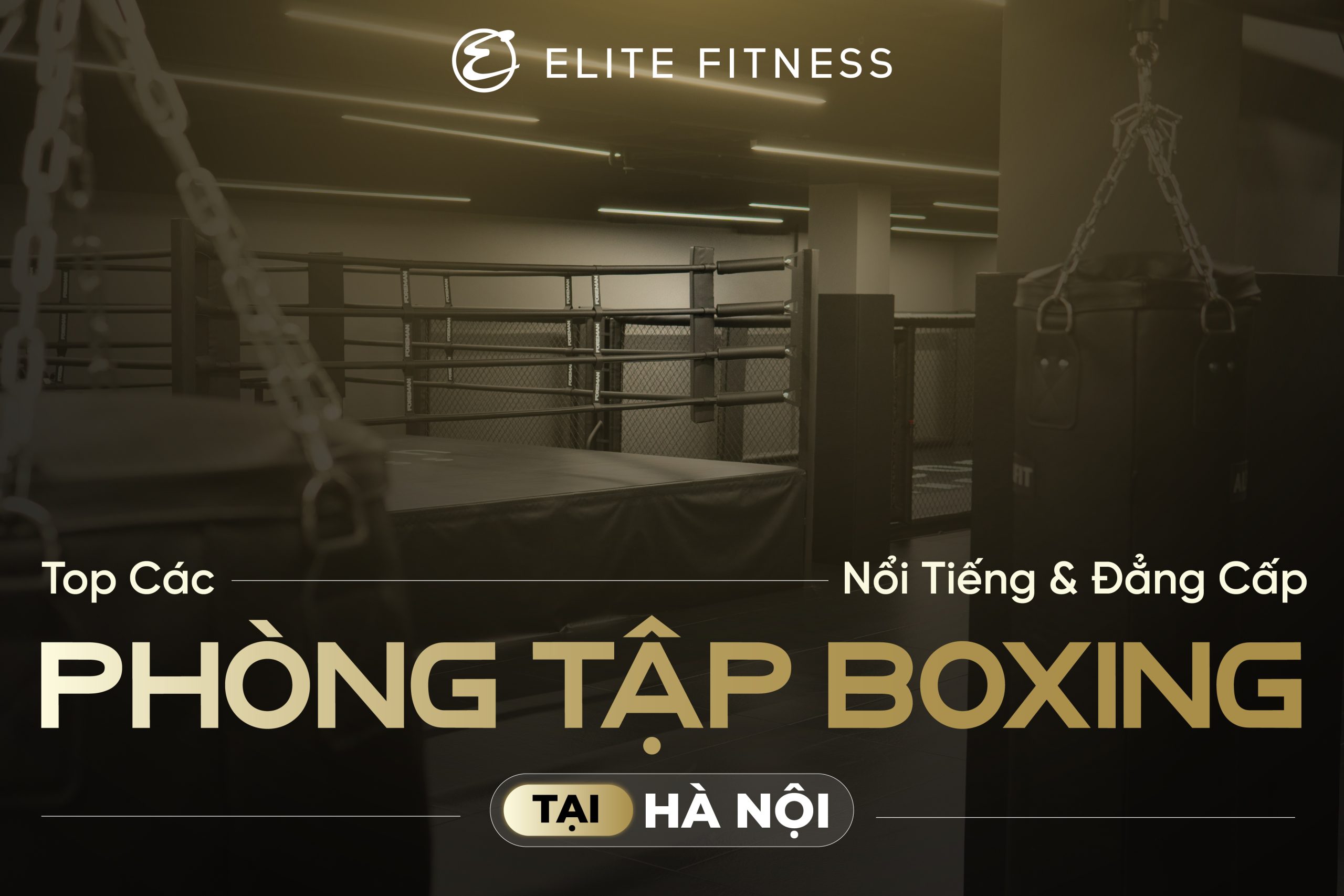 TOP CÁC PHÒNG TẬP BOXING NỔI TIẾNG & ĐẲNG CẤP TẠI HÀ NỘI - Elite Fitness