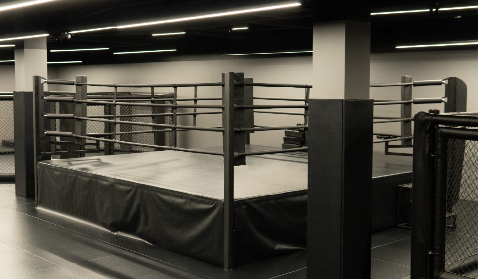 TOP CÁC PHÒNG TẬP BOXING NỔI TIẾNG & ĐẲNG CẤP TẠI HÀ NỘI - Elite Fitness